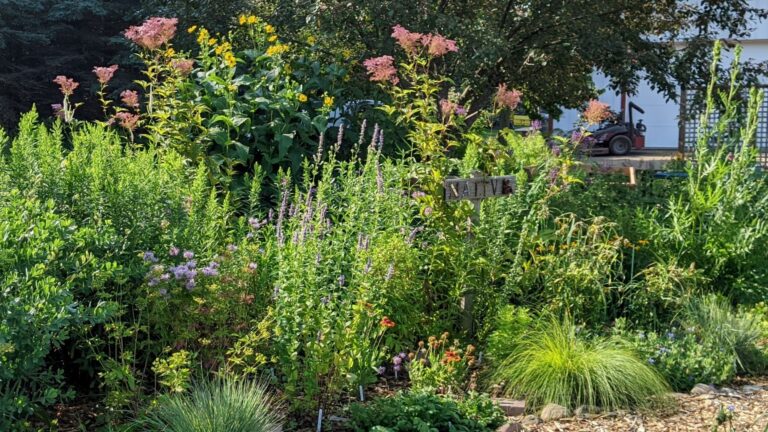 Native Garden - UMN Extension Washington County Master Gardener ...